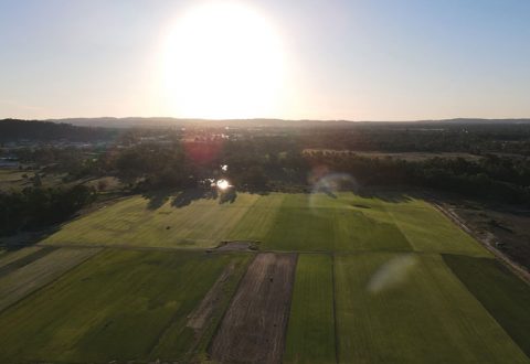 Tarcoola Turf Farm | Family Owned business for over 20 years